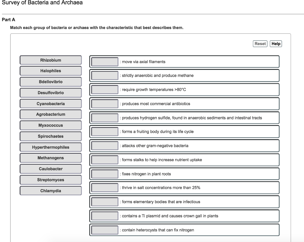 Solved Survey of Bacteria and Archaea Part A Match each | Chegg.com