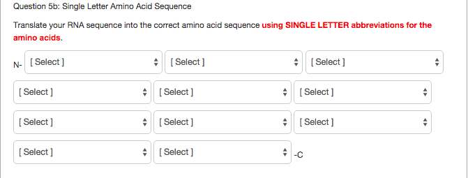 Solved Question 5a: Amino Acid Sequence Translate your RNA | Chegg.com