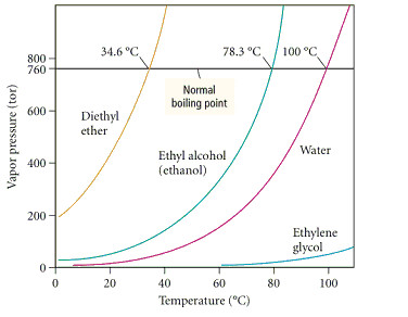 Solved Based on the figure above, the boiling point of | Chegg.com