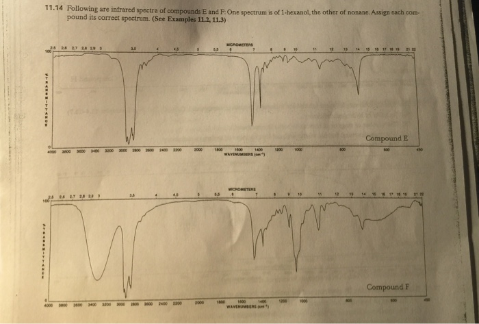 Solved Following .are infrared spectra of compounds E and F: | Chegg.com
