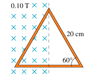 Solved What is the magnetic flux through the triangle? | Chegg.com