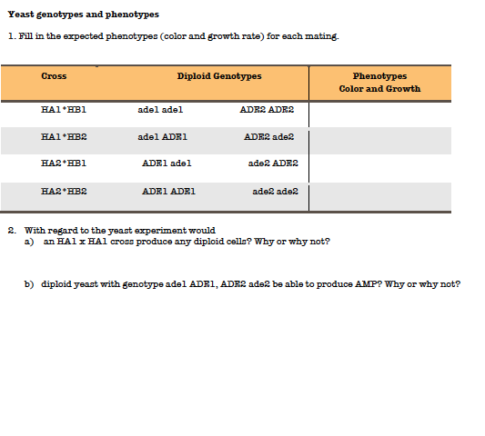 Yeast genotypes and phenotypes Fill in the expected | Chegg.com