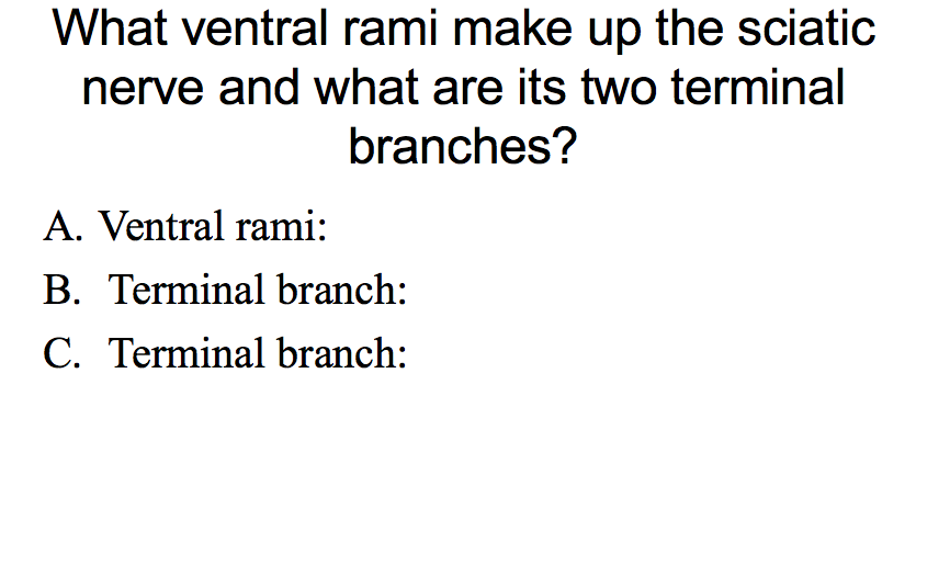 Solved What ventral rami make up the sciatic nerve and what | Chegg.com