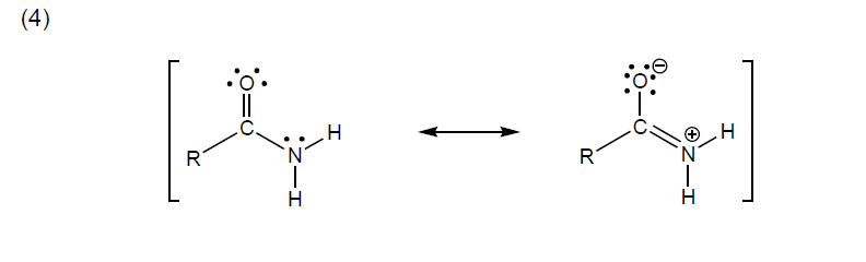 Solved In the reaction of an amide with a strong acid, | Chegg.com