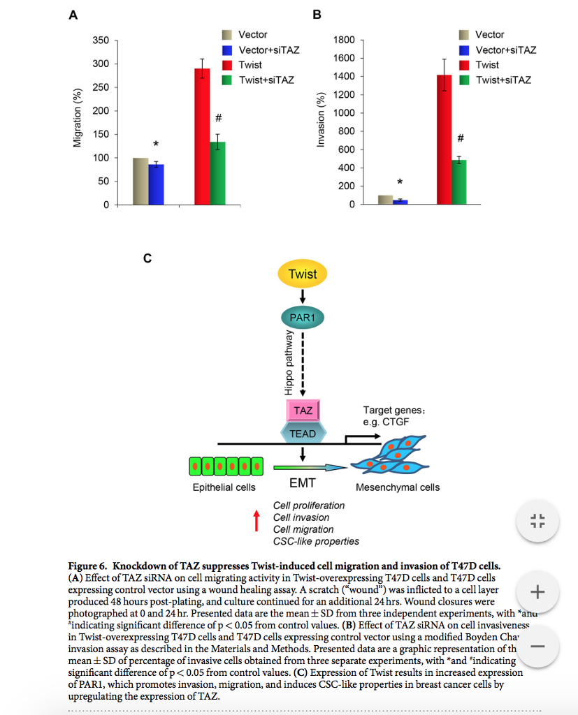 Solved Describe the model proposed in Figure 6 in your own | Chegg.com