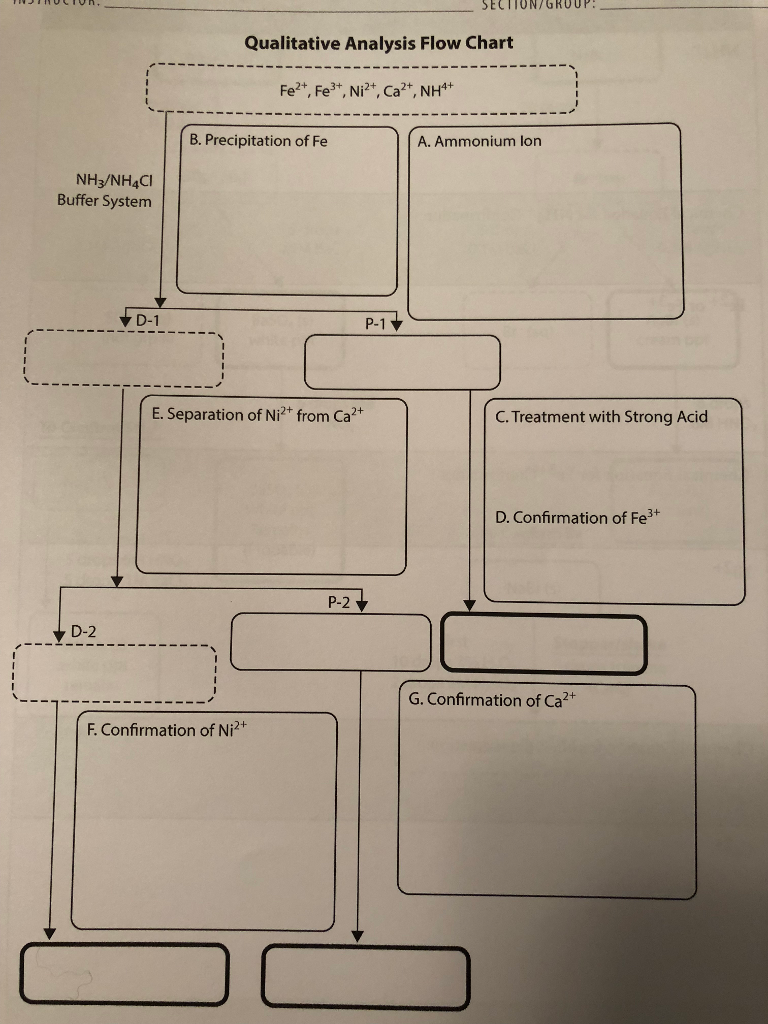 Solved SECTION/GROUP Qualitative Analysis Flow Chart Fe2+, | Chegg.com