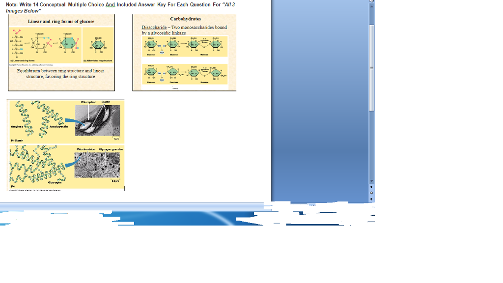 Solved Note: Write 14 Conceptual Multiple Choice And | Chegg.com
