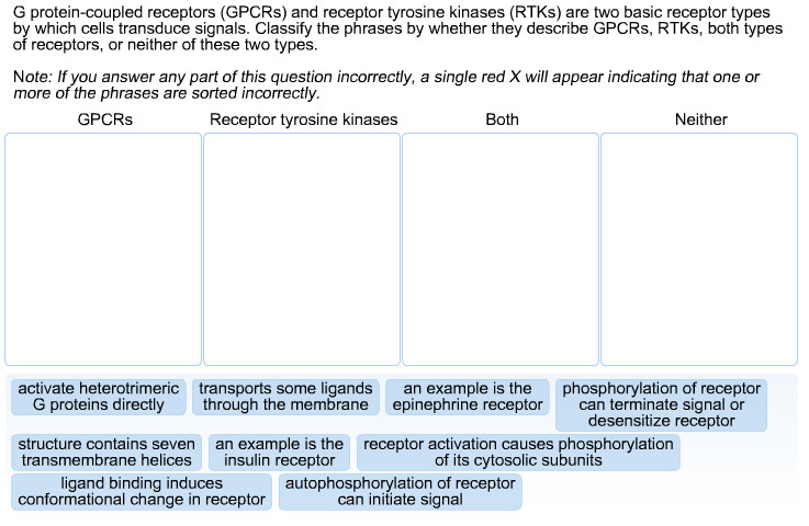 Solved G protein-coupled receptors (GPCRs) and receptor | Chegg.com