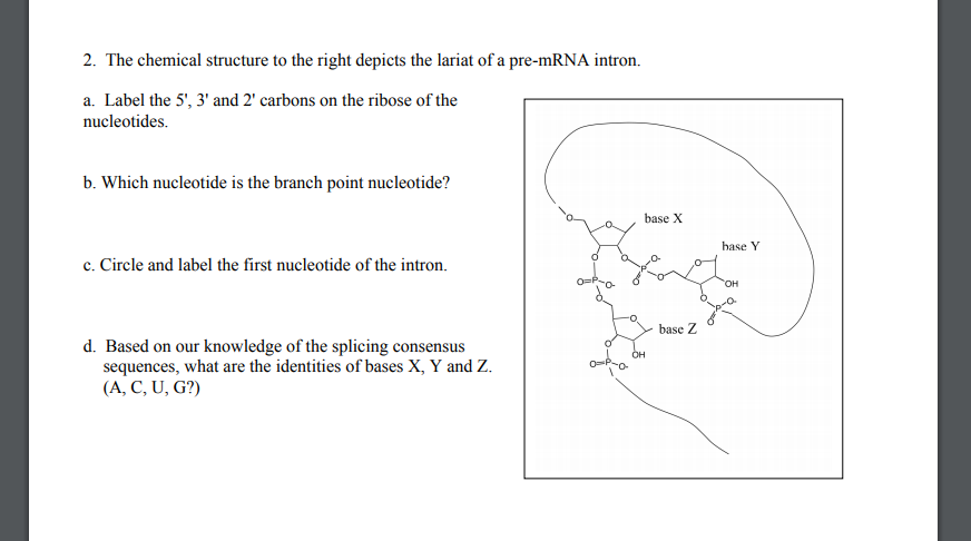 Solved 2. The chemical structure to the right depicts the | Chegg.com