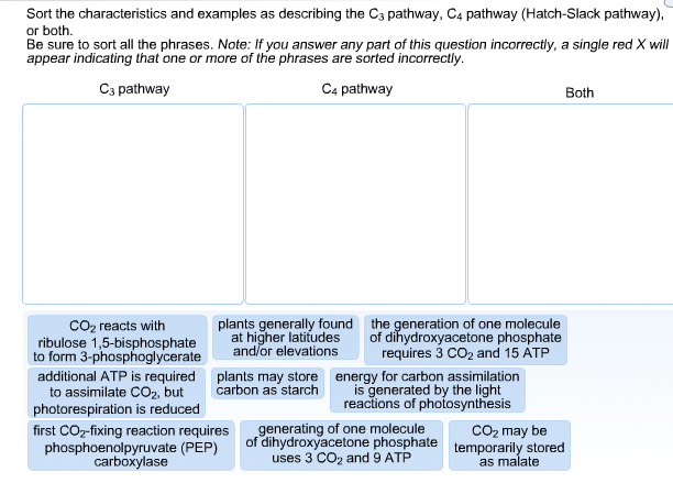 Solved Sort the characteristics and examples as describing | Chegg.com