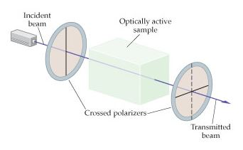 Optical Activity of Sugar The sugar concentration in | Chegg.com