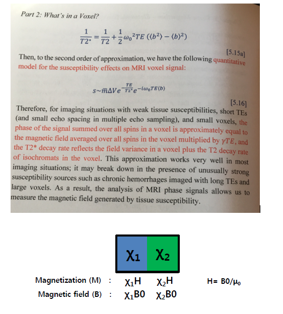 Compute the T2* and phase of MR signal in a voxel. | Chegg.com
