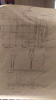 draw the structure of the compound C8H10O2 | Chegg.com