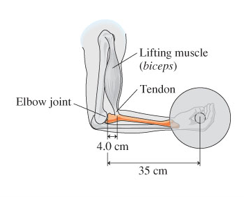 Solved Using the information in the figure, calculate the | Chegg.com
