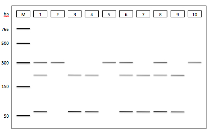 Some people can taste the bitter taste of PTC | Chegg.com