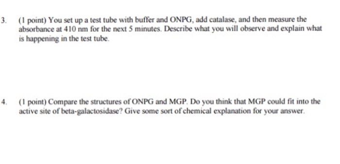 Solved You set up a test tube with buffer and ONPG, add | Chegg.com