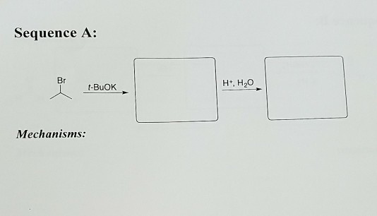 Solved Sequence A: Br t-BuOK H, H20 Mechanisms: | Chegg.com