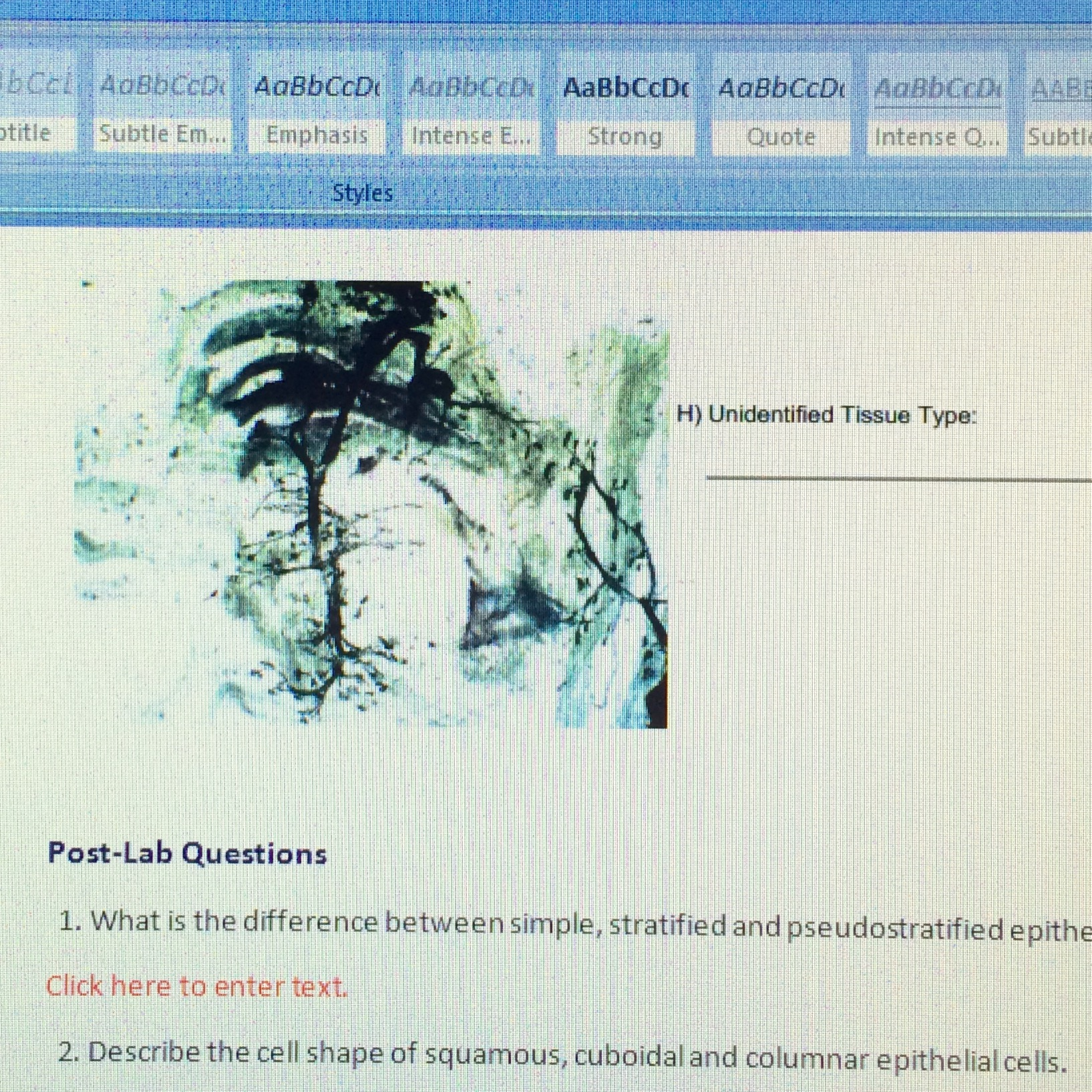Solved Post-Lab Questions 1. What ?s the difference between | Chegg.com