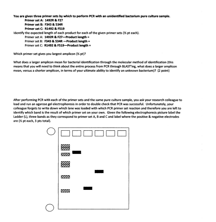 Solved You are given three primer sets by which to perform | Chegg.com