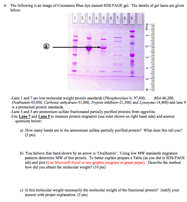 Solved 6. The following is an image of Coomassie Blue dye | Chegg.com