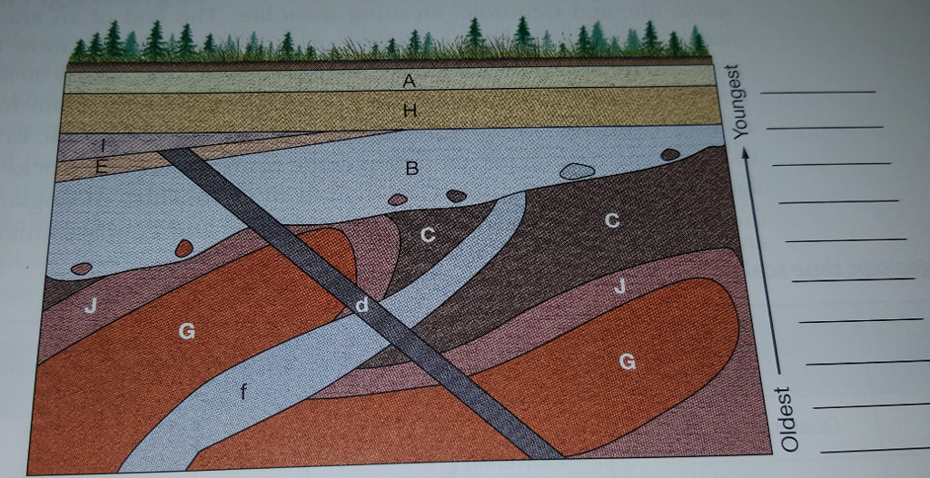 Solved In this exercise, you apply the the principles of | Chegg.com