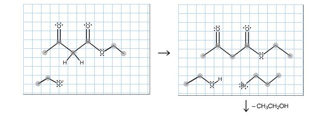 Solved Do not show curved arrows for this step. Predict the | Chegg.com