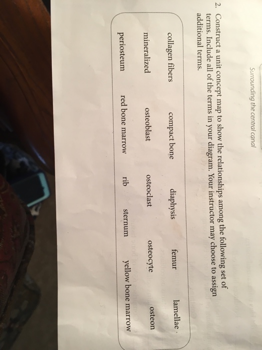 Solved Construct a unit concept map to show the | Chegg.com