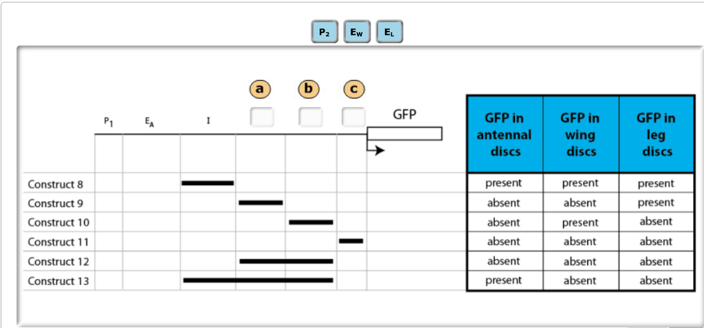 Solved Use the expression data for constructs 8 - 13 from | Chegg.com