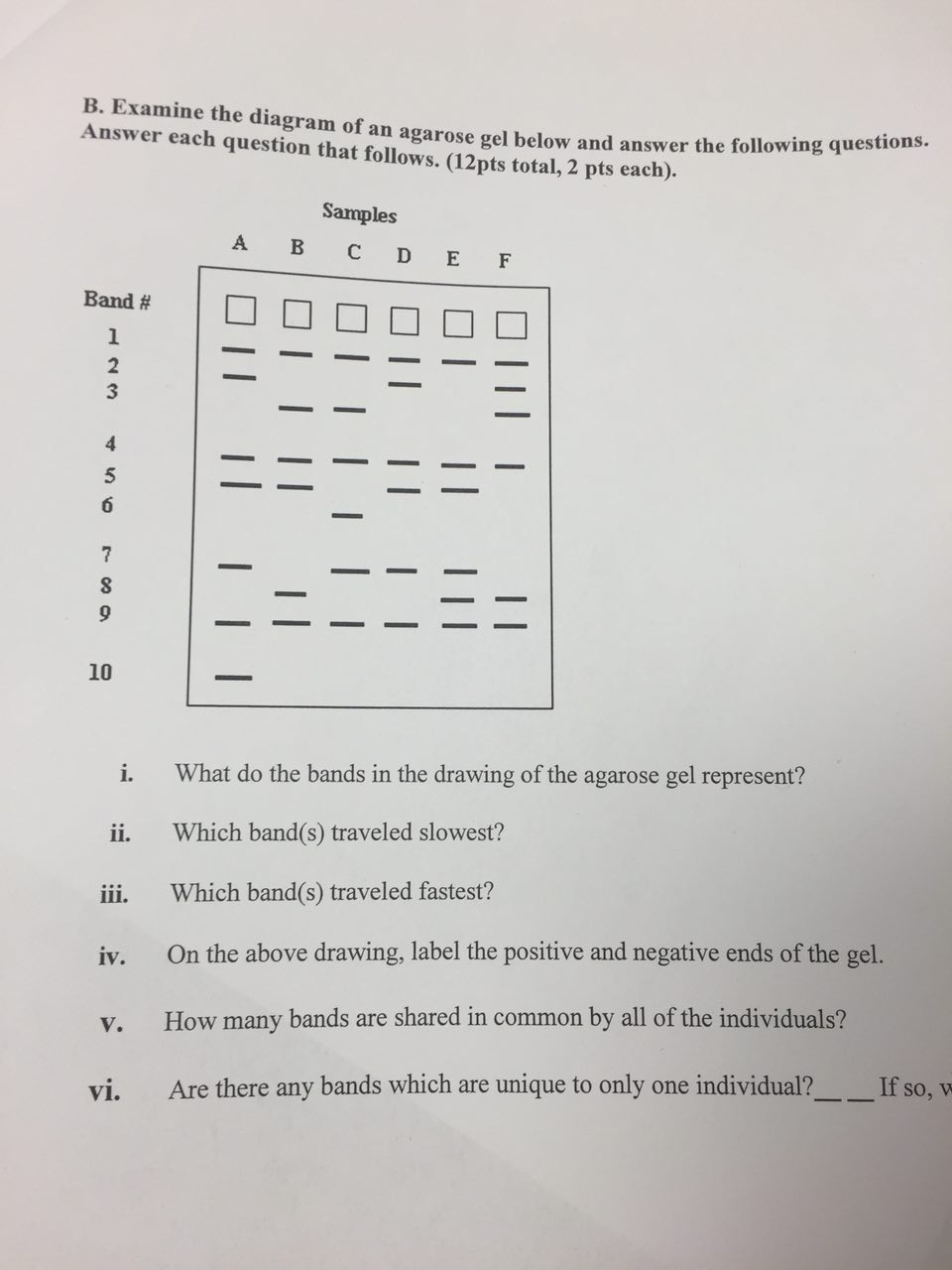 Solved Examine the diagram of an agarose gel below and | Chegg.com