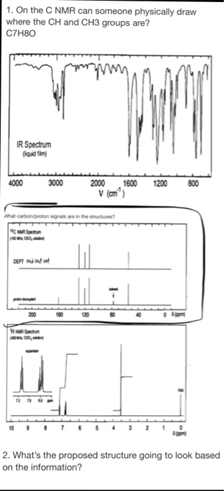 Solved Help interpreting the C NMR, please me detailed on | Chegg.com