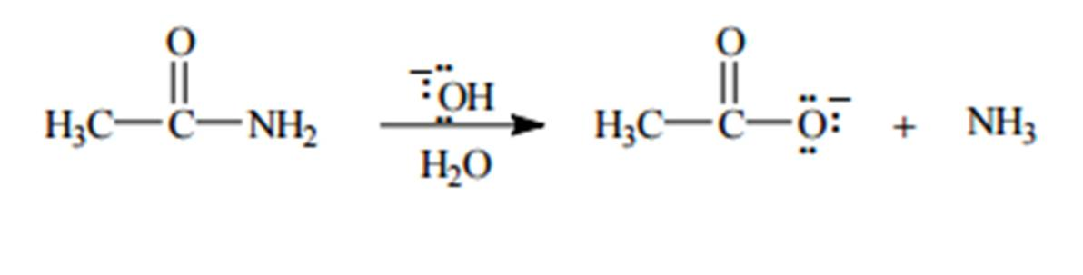 Solved Write the complete stepwise mechanism for the basic | Chegg.com