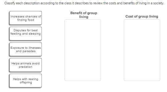 Solved Classify each description to the class it describes | Chegg.com