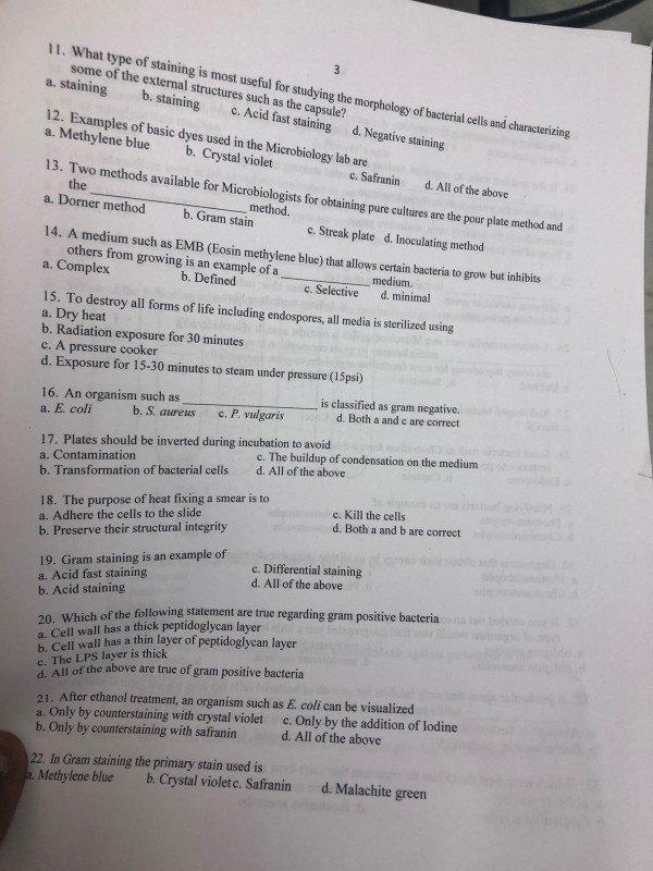 Solved 11. What type of staining is most useful for studying | Chegg.com