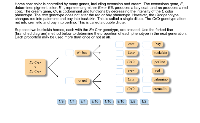 Solved Horse coat color is controlled by many genes, | Chegg.com