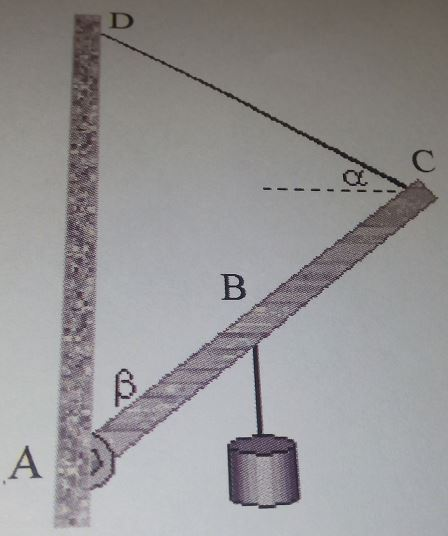 Solved Torque An Uniform Plank Of Length Ac [5m] And