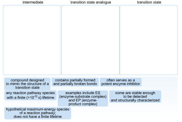 Solved Descriptions of enzyme mechanisms often contain the | Chegg.com