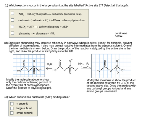 Solved Carbamoyl phosphate synthetase (CPS) synthesizes | Chegg.com