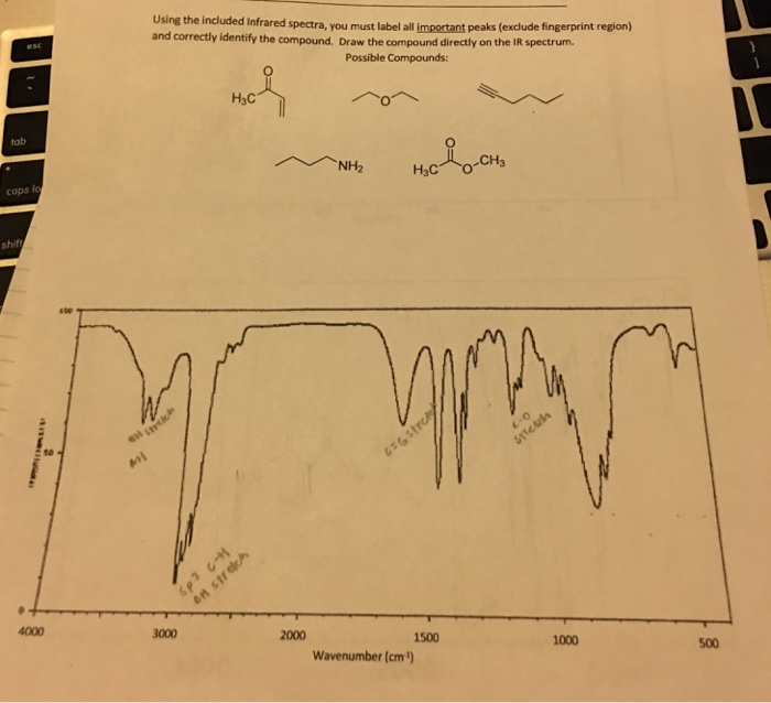 Solved Using the included Infrared spectra, you must label | Chegg.com