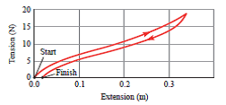 Solved The graph shows the tension in a rubber band as it is | Chegg.com