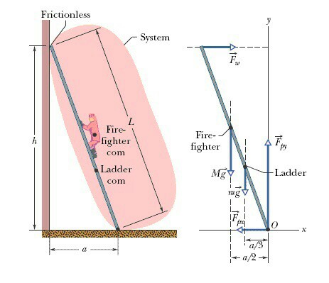 Solved In the figure, a ladder of length L = 12 m and mass m | Chegg.com