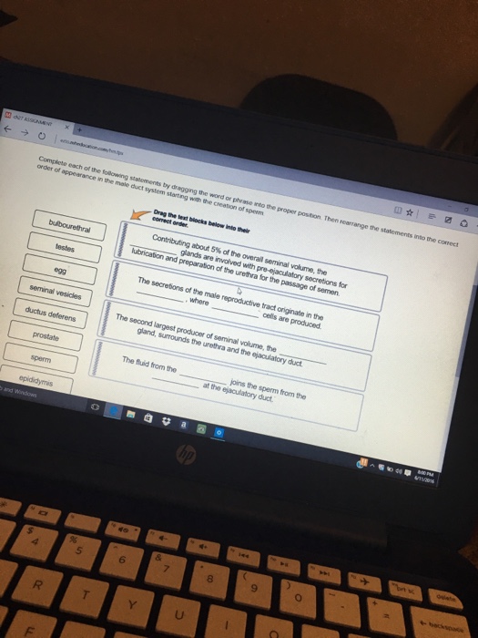 Solved Complete each of the following statements by dragging | Chegg.com