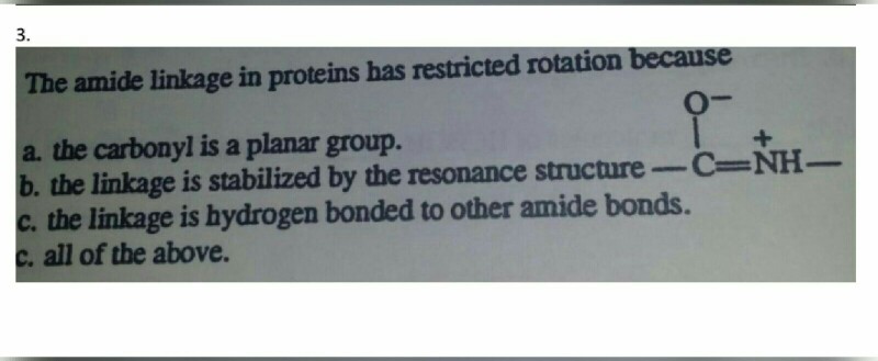 Solved The amide linkage in proteins has restricted rotation | Chegg.com