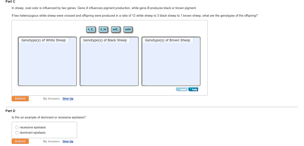 Solved Epistasis is the interaction between genes such that | Chegg.com