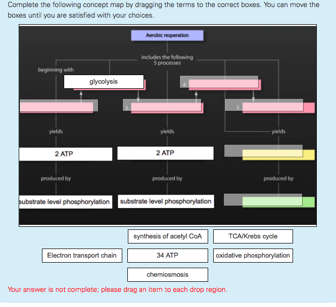 Solved Complete the following concept map by dragging the | Chegg.com