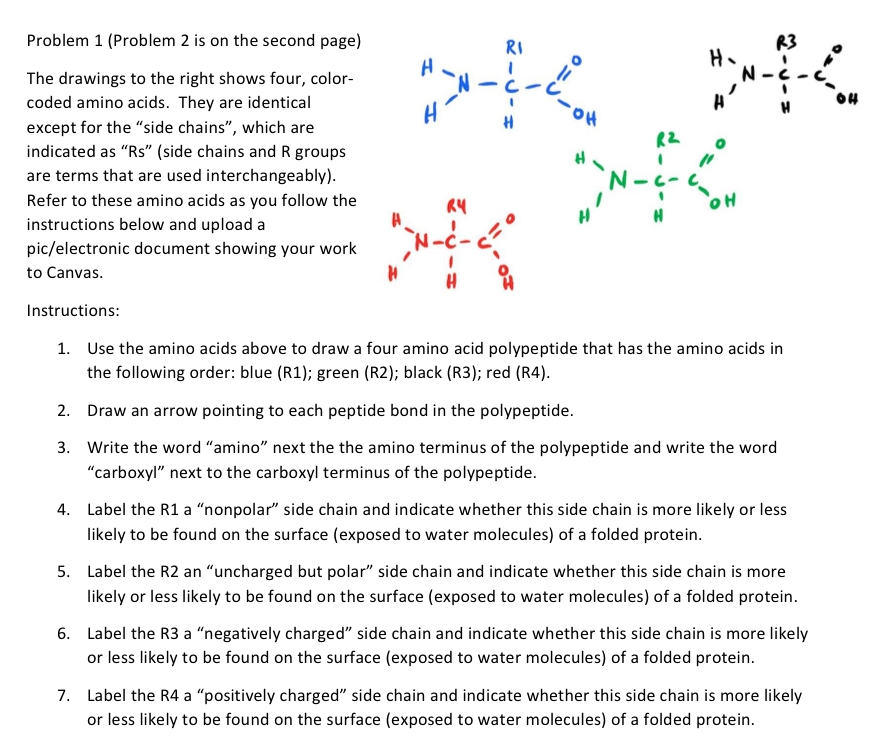Solved BIO out of class assignment: | Chegg.com