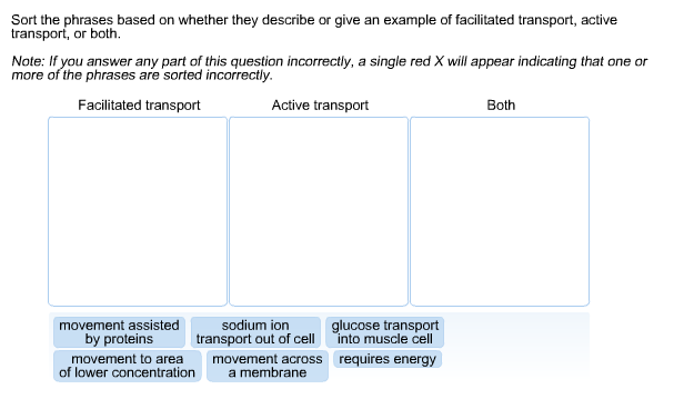 Solved Sort the phrases based on whether they describe or | Chegg.com