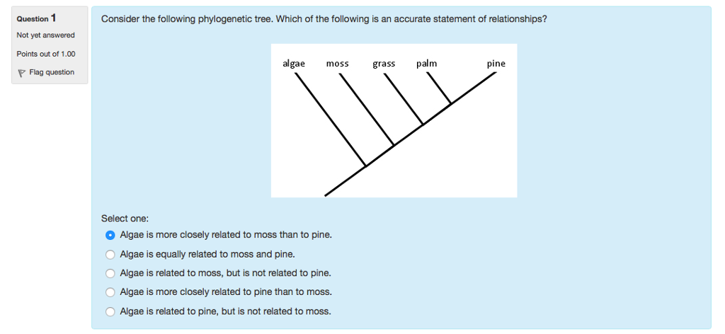 Solved Question 1 Not yet answered Points out of 1.00 | Chegg.com