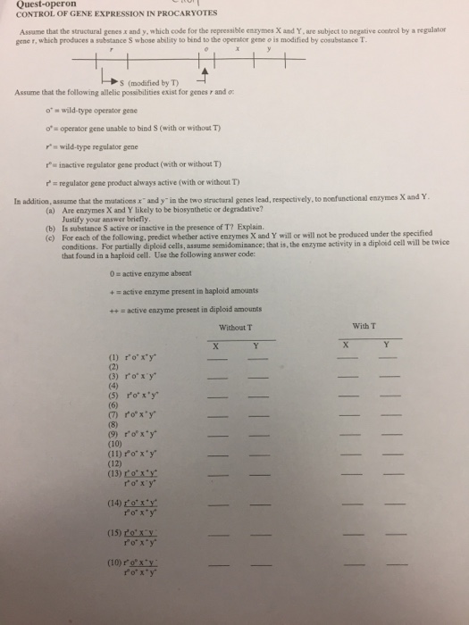Solved Quest-operon CONTROL OF GENE EXPRESSION IN | Chegg.com