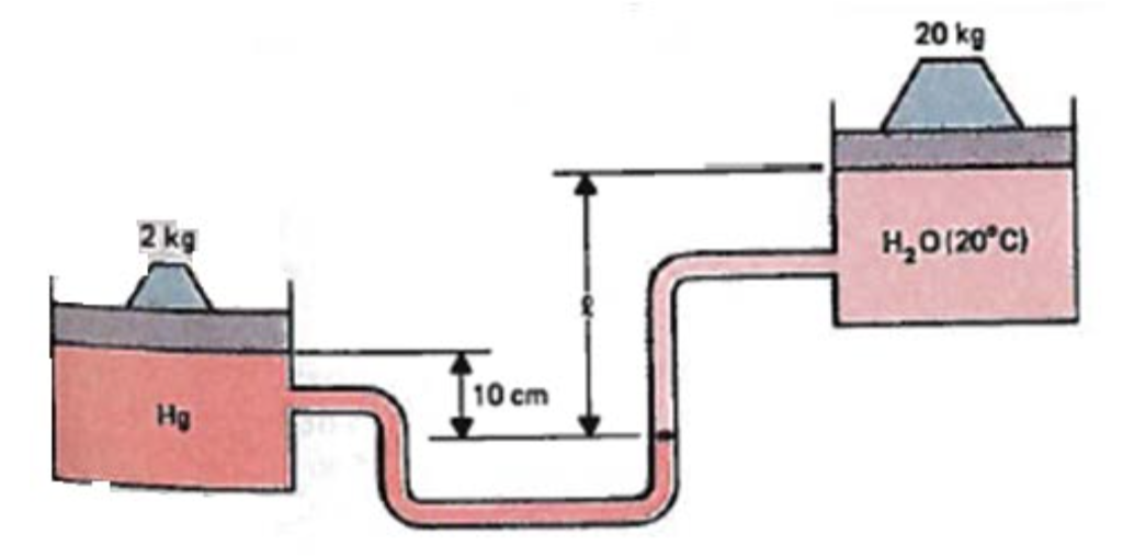 Solved The two pistons are weighted down as seen in the | Chegg.com