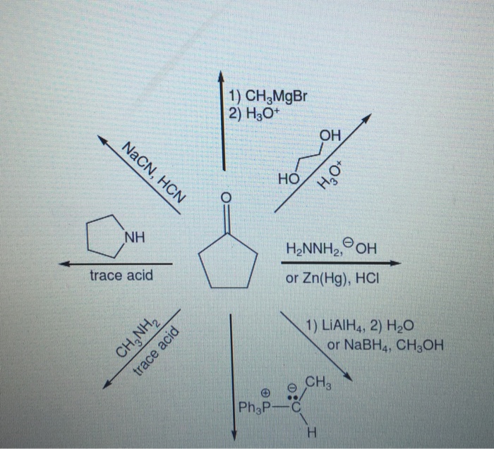 Solved NH trace acid 1) CH3MgBr 2) H30 OH HONNH OH 2, or | Chegg.com